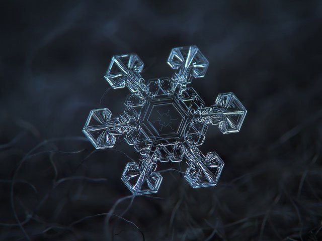 How To Take Macro Snowflakes Photography Under 50 Customized Lens How To Take Macro Snowflakes Photography Under 50 Customized Lens