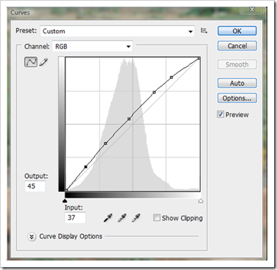 TILT-SHIFT METHOD USING PHOTOSHOP