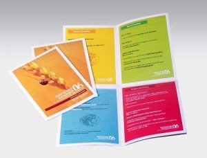 17 Colorful Business Brochure Designs for Design Inspiration