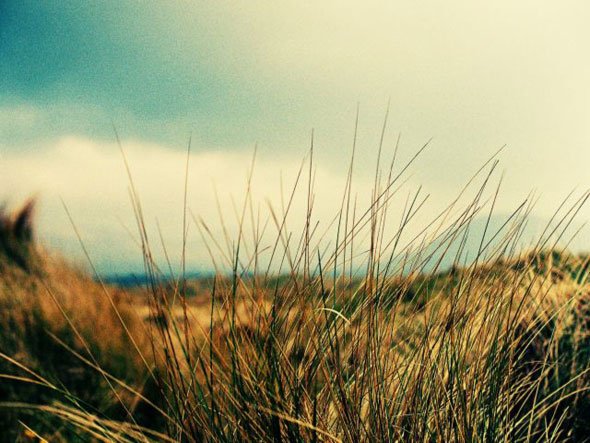 25 Free Lomography Desktop Wallpaper Photography Collection