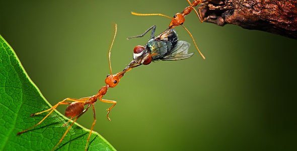 Today's 10 Fresh Photography collections for Inspiration