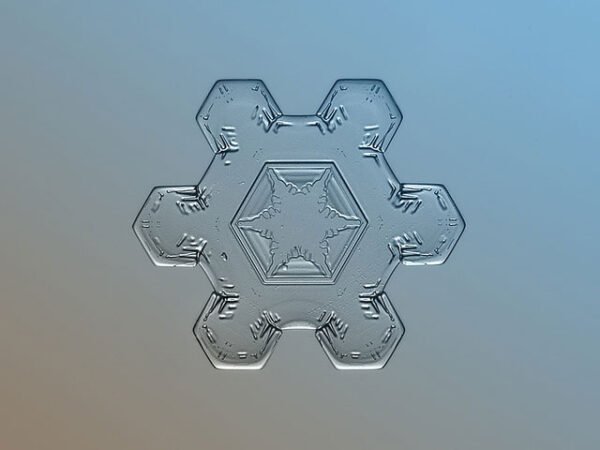 How to take Macro Snowflakes Photography under $50 Customized Lens