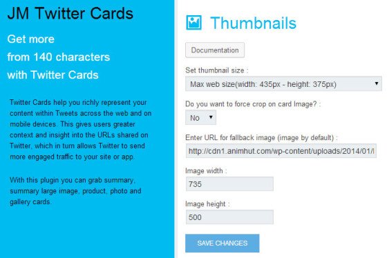 Activate Twitter Cards using Meta Tag or WordPress Plugin for Approval