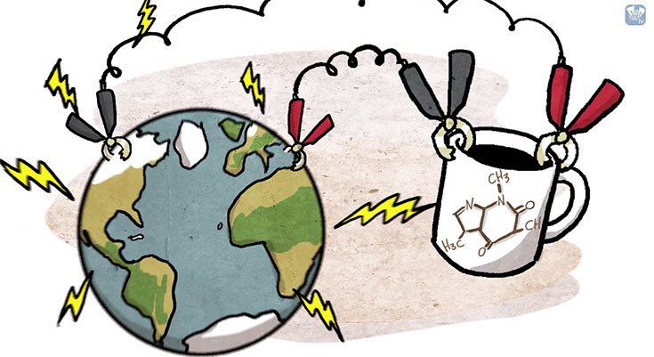 How Coffee Affects Your Brain - A Videographic for Coffee Lovers